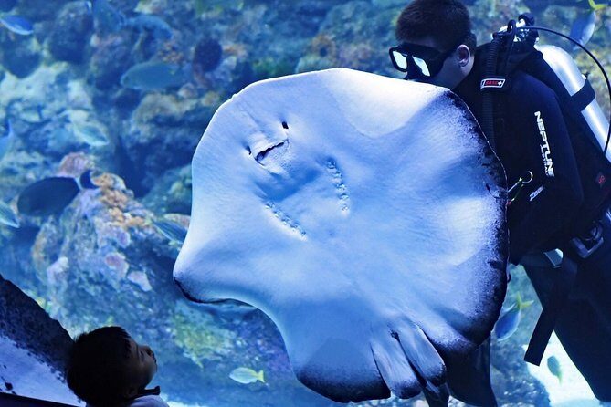 Cairns Aquarium and small group City Sightseeing Tour - A Deep Dive into the Tour Experience