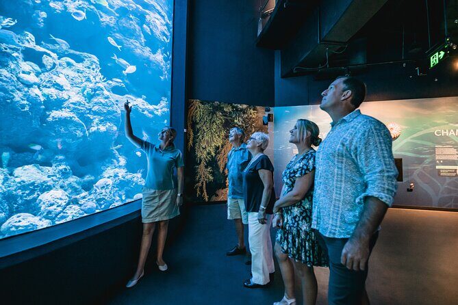 Cairns Aquarium by Twilight Tour - The Sum Up