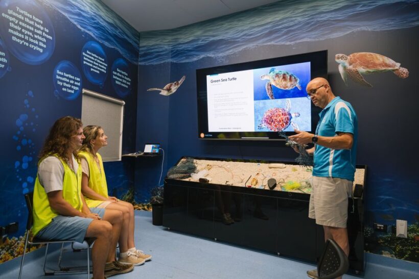 Cairns: Aquarium Entry Ticket and Turtle Rehabilitation Tour - What to Expect: A Well-Rounded Day