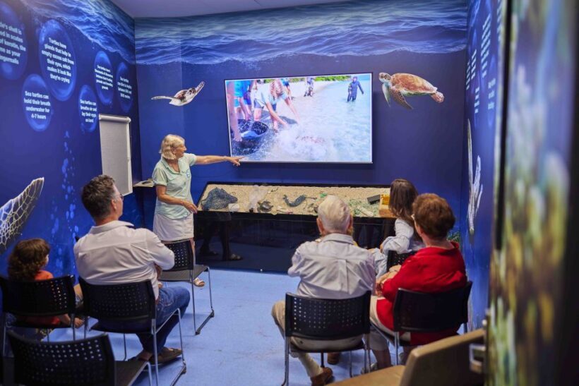 Cairns: Aquarium Entry Ticket and Turtle Rehabilitation Tour - Who Will Love This Tour?