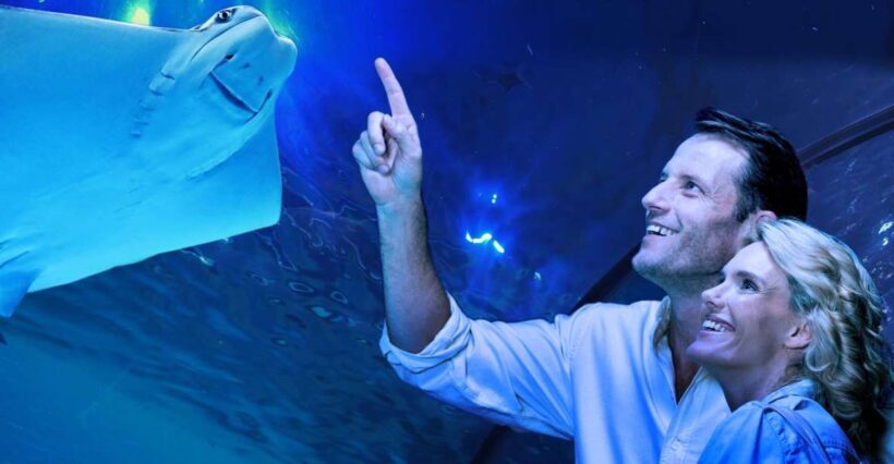 Cairns: Aquarium Guided Twilight Tour with 3-Course Dinner - Key Points