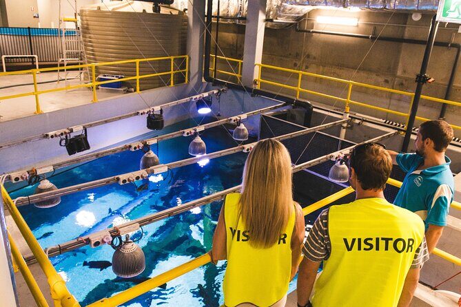 Cairns Aquarium Marine Life Encounter Ticket - Key Points