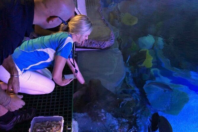 Cairns Aquarium Marine Life Encounter Ticket - The Guide’s Role: Knowledgeable and Passionate