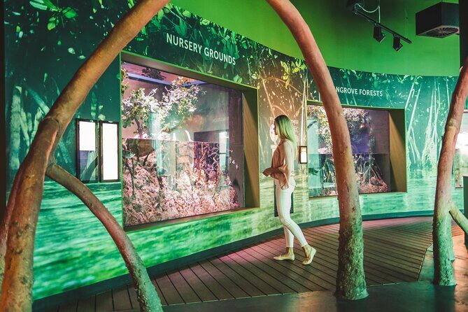 Cairns Aquarium Marine Life Encounter Ticket - Timing and Logistics