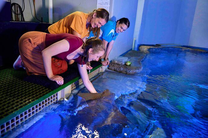 Cairns Aquarium Marine Life Encounter Ticket - Price and Value: Is It Worth It?