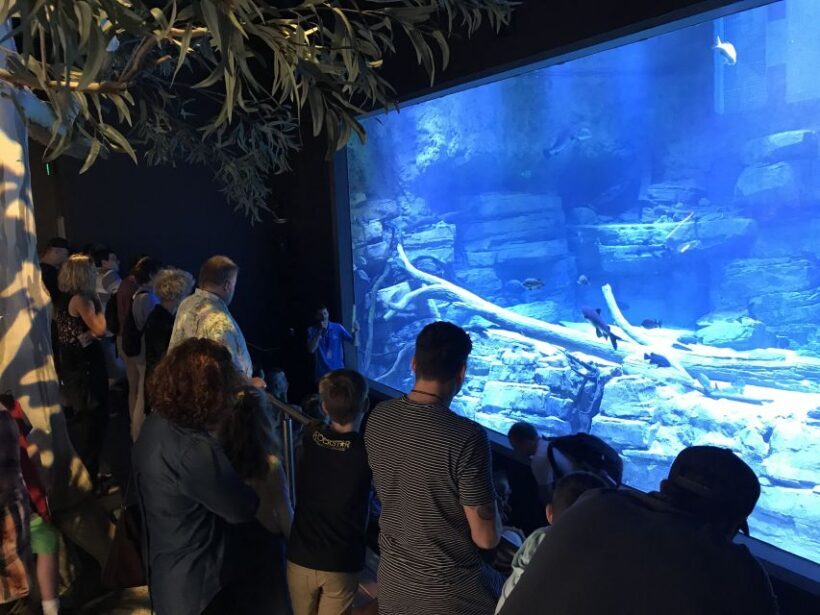Cairns Aquarium Turtle Hospital and City Sightseeing Tour - Who Will Get the Most Out of This Tour?
