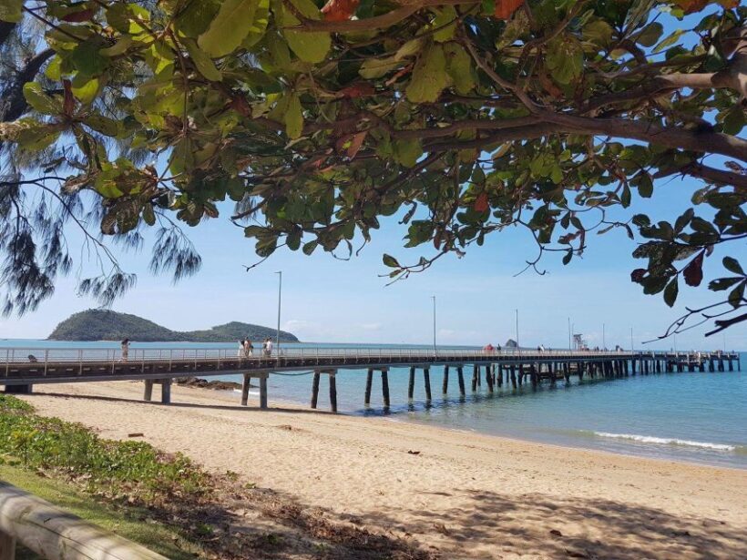 Cairns Aquarium Turtle Hospital and City Sightseeing Tour - The Sum Up