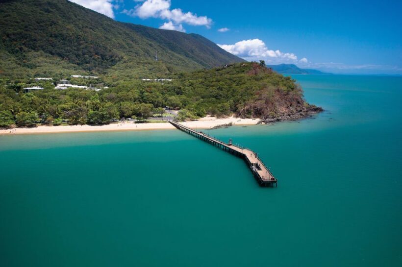 Cairns Aquarium Turtle Hospital and City Sightseeing Tour - FAQ
