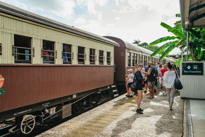 Cairns: Best of the Kuranda Rainforest Full-Day Tour & Lunch - A Detailed Look at the Kuranda Rainforest Tour