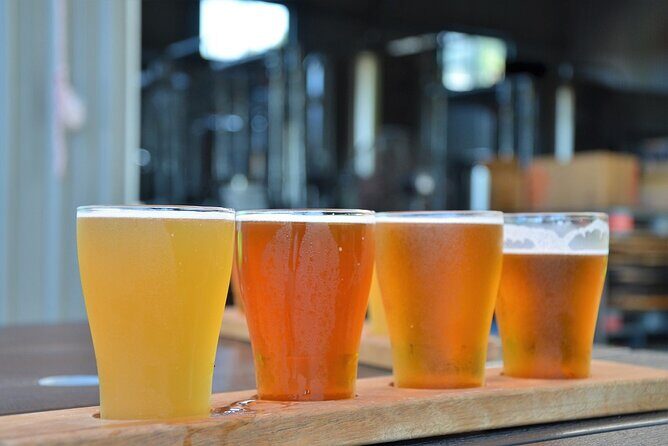 Cairns Brewery Tours - Frequently Asked Questions