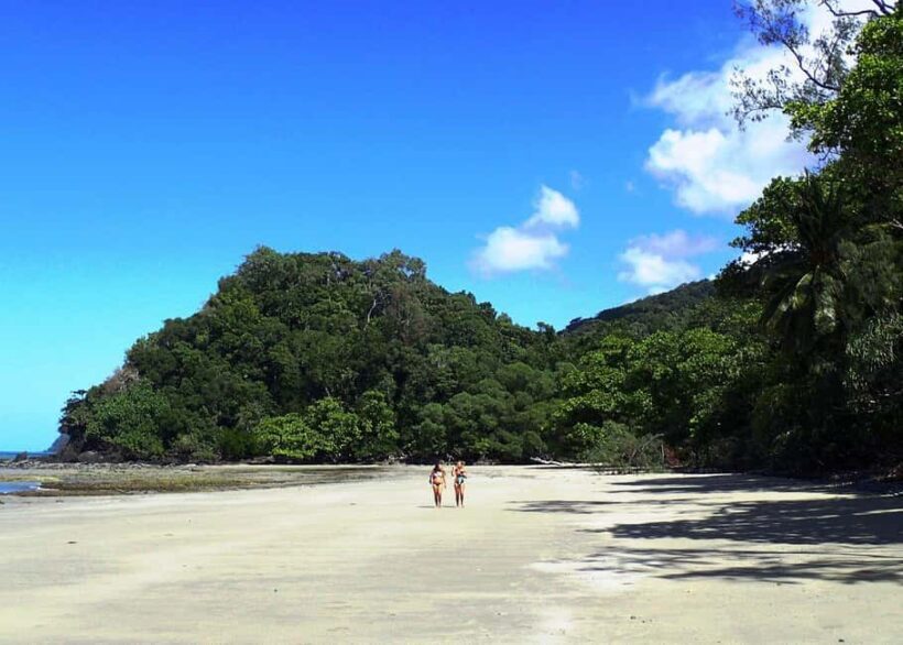 Cairns: Cape Tribulation, Beaches, Crocs & Swimming Day Tour - Introduction: A Nature-Filled Day with a Long Drive