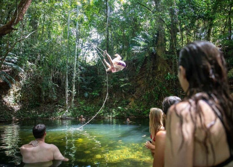 Cairns: Cape Tribulation, Beaches, Crocs & Swimming Day Tour - Authentic Feedback from Travelers