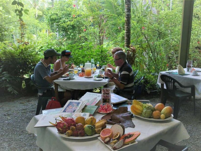 Cairns: Cape Tribulation, Daintree, Mossman and Port Douglas - Practical Considerations
