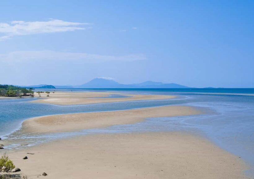 Cairns: Cape Tribulation, Daintree, Mossman and Port Douglas - Analyzing Value
