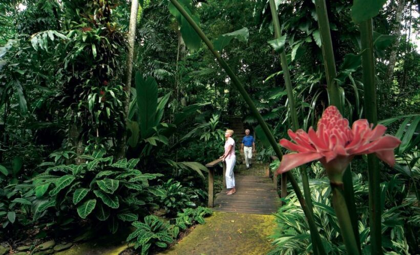 Cairns: City Sights Tour with Evening Dinner Cruise - Final Thoughts