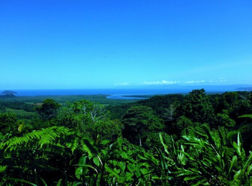 Cairns: Daintree, Mossman Gorge, & Cape Tribulation Day Trip - The Final Stretch and Reflection
