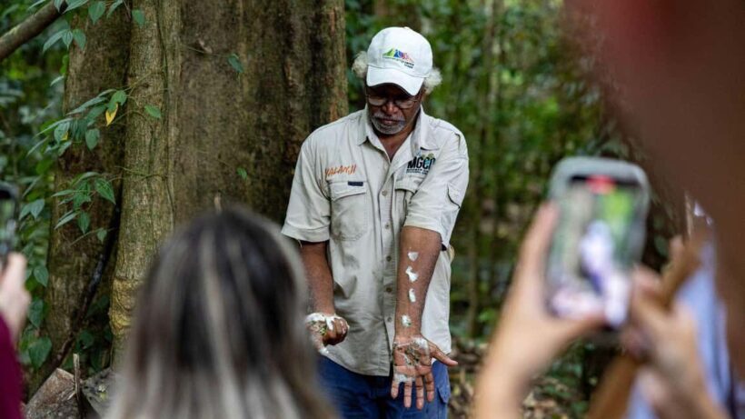 Cairns: Daintree Rainforest and Mossman Gorge Tour - Key Points