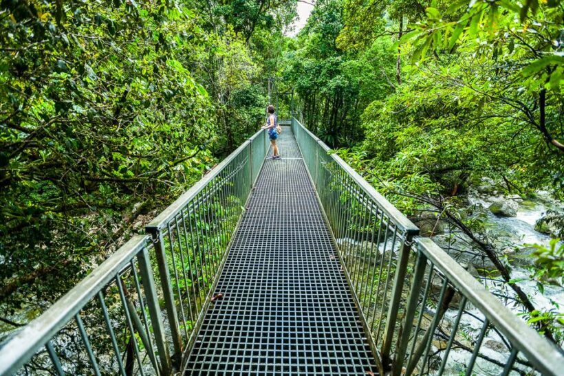 Cairns: Daintree Rainforest and Mossman Gorge Tour - Authentic Experiences and Highlights Based on Reviews