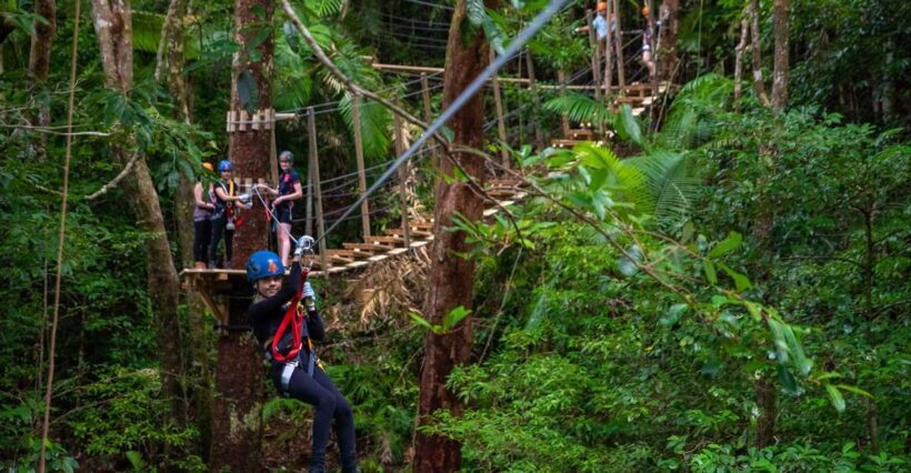 Cairns: Daintree Rainforest Canopy Ziplining Tour - Key Points