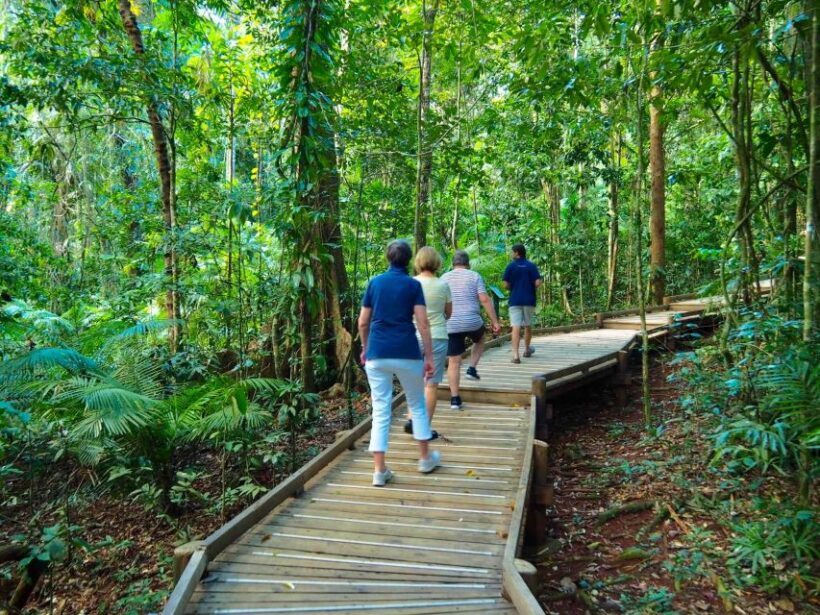 Cairns: Daintree Rainforest Canopy Ziplining Tour - Is It Worth the Price?