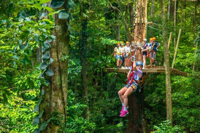 Cairns: Daintree Rainforest Canopy Ziplining Tour - Practical Tips for Your Trip