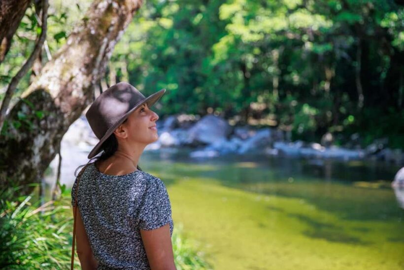 Cairns: Daintree Rainforest & Cape Tribulation Day Trip - Key Points