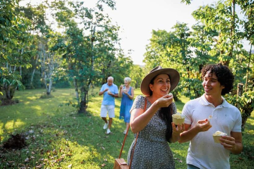 Cairns: Daintree Rainforest & Cape Tribulation Day Trip - Exploring the Itinerary — What Makes This Tour Special