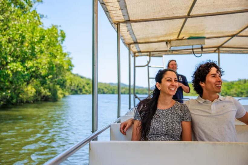 Cairns: Daintree Rainforest & Cape Tribulation Day Trip - The Bottom Line — Who Will Love This Tour?
