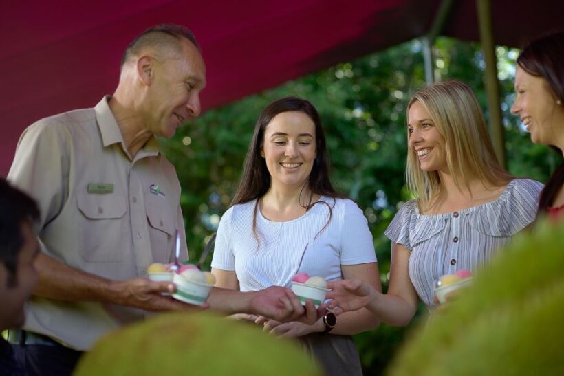 Cairns: Daintree Rainforest & Cape Tribulation Day Trip - Frequently Asked Questions