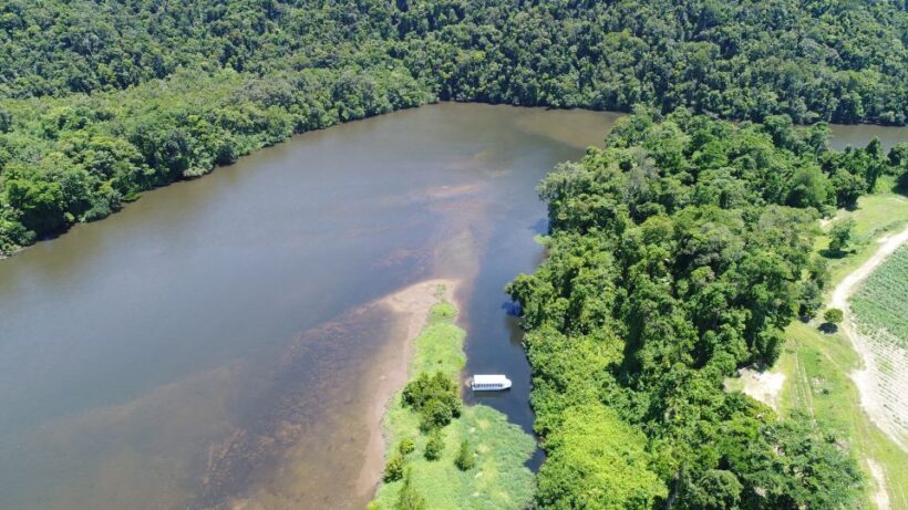 Cairns: Daintree Rainforest Wildlife Experience Cruise - FAQ