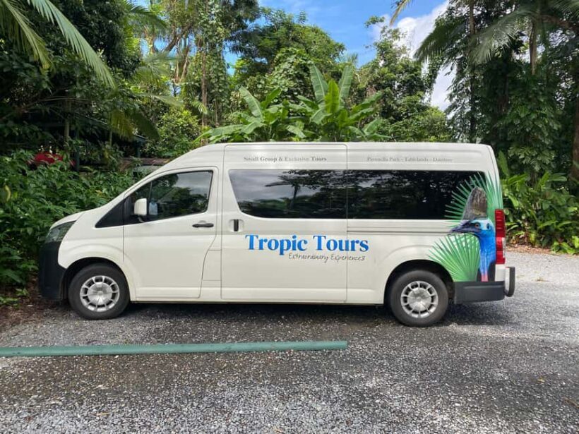 Cairns: Daintree River Cruise and Mossman Gorge - What Sets This Tour Apart?