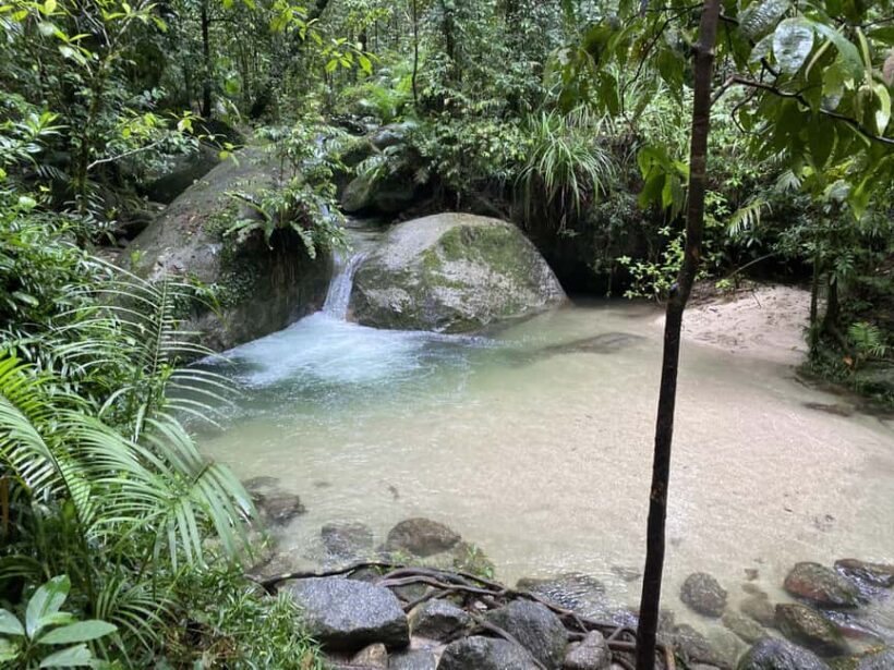 Cairns: Daintree River Cruise and Mossman Gorge - The Sum Up