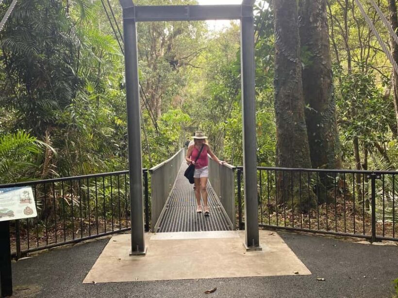 Cairns: Daintree River Cruise and Mossman Gorge - FAQ
