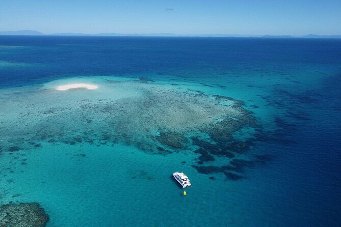 Cairns: Enjoy Dunk Island | Small Group | Outer Reef Snorkel - The Itinerary in Detail