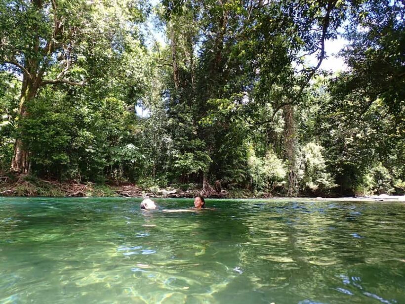Cairns: Explorer Tour- Cairns Waterfalls - Key Points