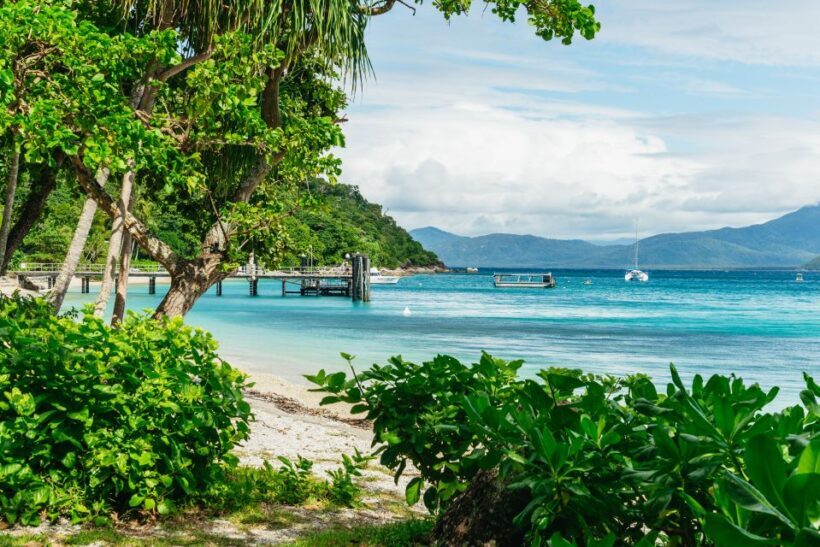 Cairns: Fitzroy Island Full-Day Trip with Optional Extras - Introduction: Why Choose Fitzroy Island from Cairns?