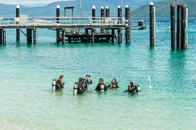 Cairns: Fitzroy Island Full-Day Trip with Optional Extras - Food and Facilities