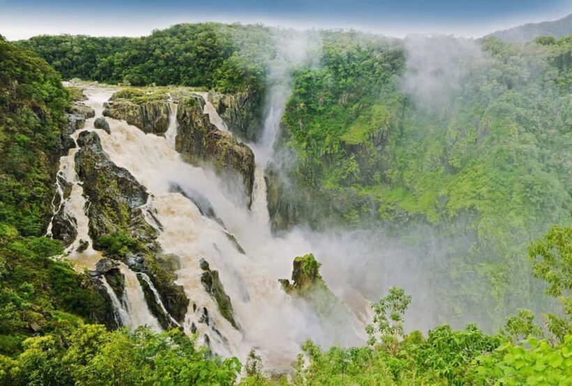 Cairns: Forest and Waterfalls Half-Day 4WD Guided Adventure - Key Points
