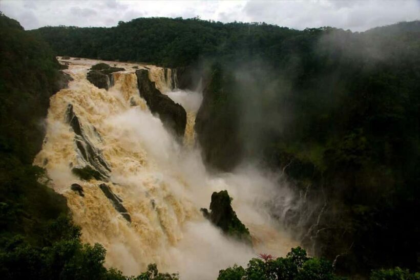 Cairns: Forest and Waterfalls Half-Day 4WD Guided Adventure - FAQs