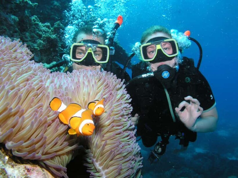 Cairns: Great Barrier Reef 3-Day Liveaboard Dive Trip - Final Thoughts: Who Will Love This Trip?