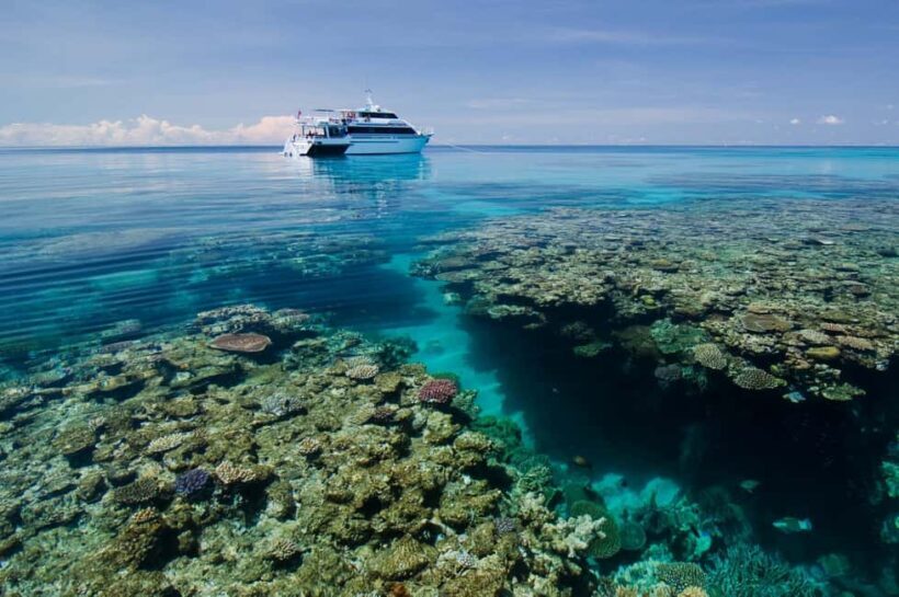 Cairns: Great Barrier Reef 5 Day Learn to Dive Course - An Introduction to the Experience