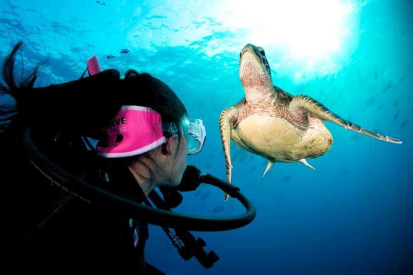 Cairns: Great Barrier Reef 5 Day Learn to Dive Course - What to Expect Onboard MV Scubapro