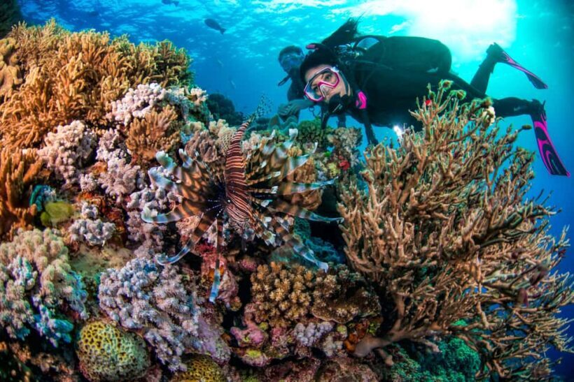 Cairns: Great Barrier Reef 5 Day Learn to Dive Course - Who Is This Tour Best For?