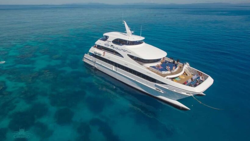 Cairns: Great Barrier Reef Cruise & Scenic Helicopter Flight - Who Will Love This Tour?