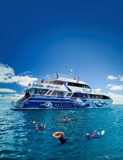 Cairns: Great Barrier Reef Full-Day Tour - Key Points