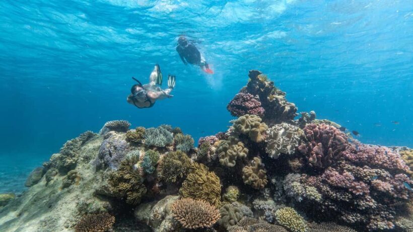 Cairns: Great Barrier Reef Full-Day Tour - Frequently Asked Questions