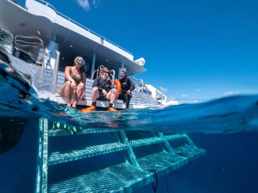 Cairns: Great Barrier Reef Full-Day Tour - Final Thoughts