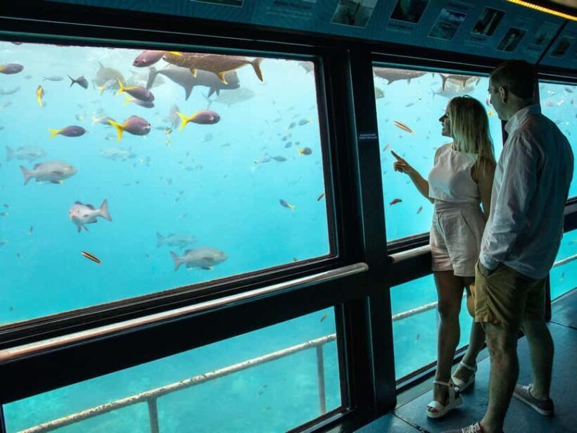 Cairns: Great Barrier Reef Pontoon - Indulgence Package - The Itinerary: What to Expect and Why It Matters