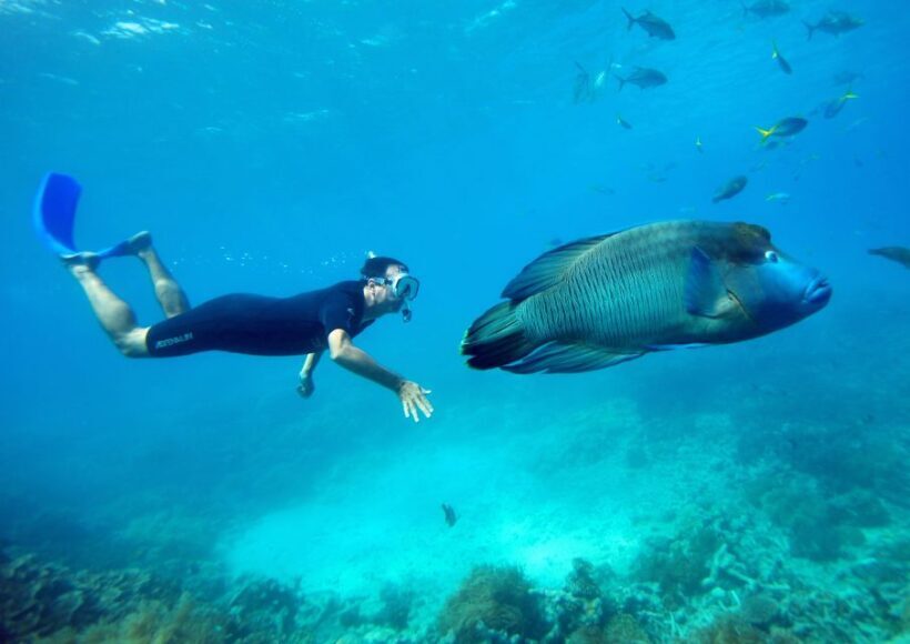 Cairns: Great Barrier Reef Pontoon with Water Activities - Final Thoughts