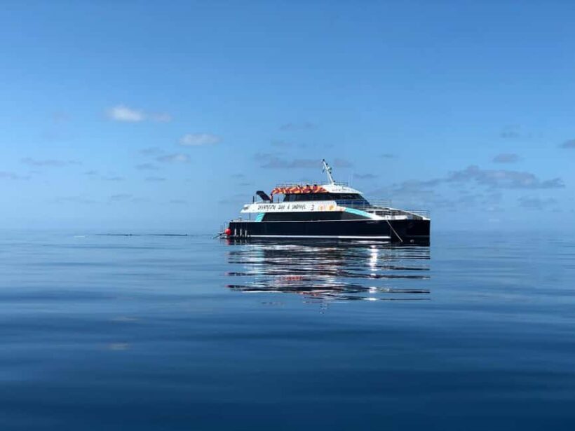 Cairns: Great Barrier Reef Snorkeling Cruise with Lunch - An In-Depth Look at the Experience